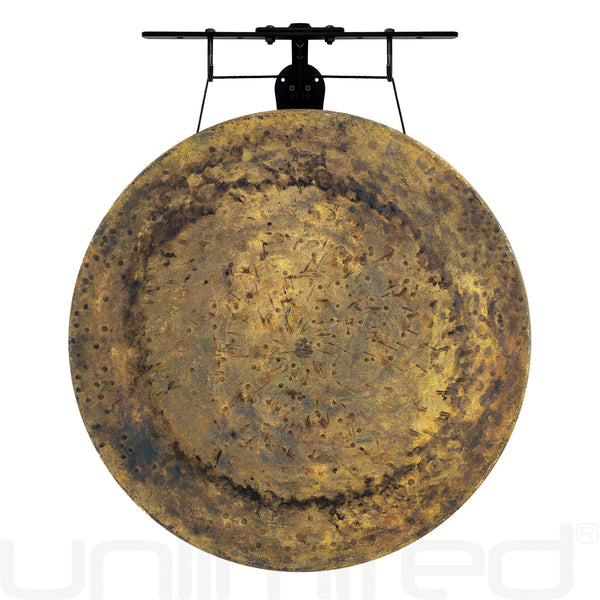 22" Chinese Gongs on the Internal Wave Gong Hanger - Gongs Unlimited