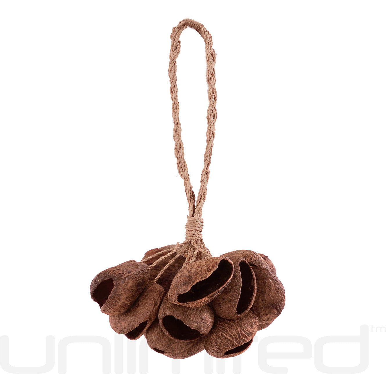 Toca Seed Pod Shaker - Gongs Unlimited